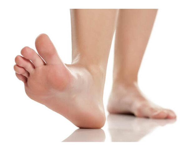 ¿Cómo se llaman los dedos de los pies?